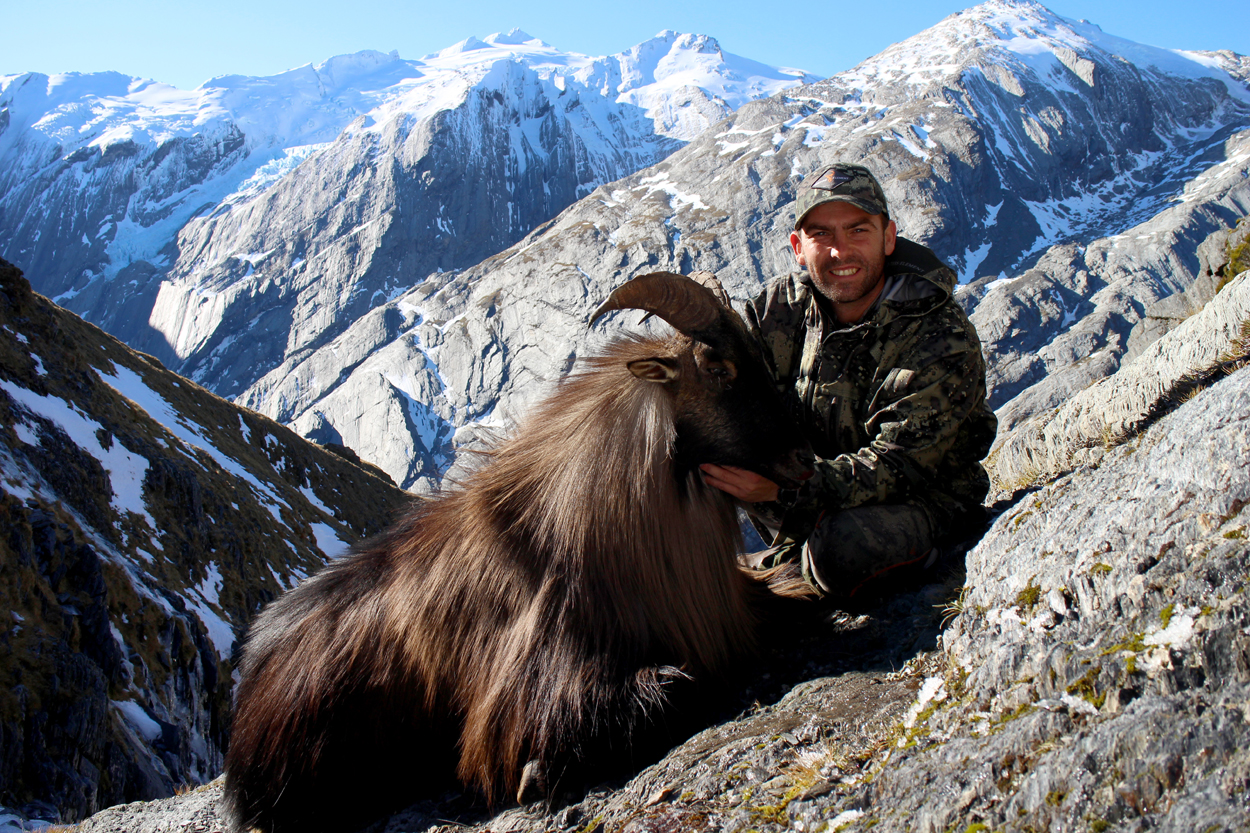 West Coast Free Range Tahr, By Michael Gibson - Journal of Mountain Hunting