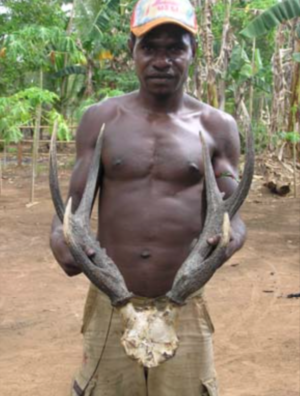 Primitive Bowhunting Lessons: Papua New Guinea's (PNG) Bows and Arrows ...