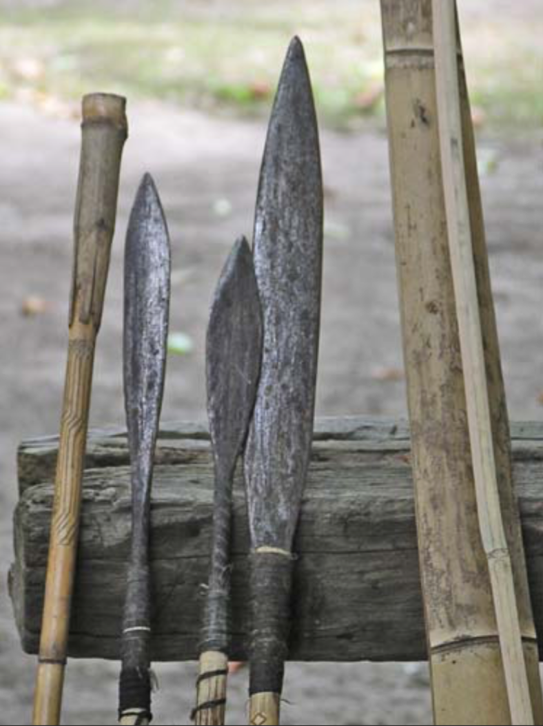 Primitive Bowhunting Lessons: Papua New Guinea's (PNG) Bows and Arrows ...