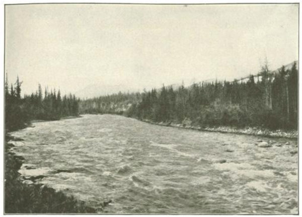 The Wilderness of the Upper Yukon | Chapter XIII - The Pelly Mountains