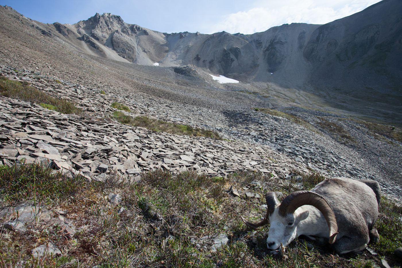 Pelly Mountains: Yukon Territory, By Nolan Osborne | Destinations