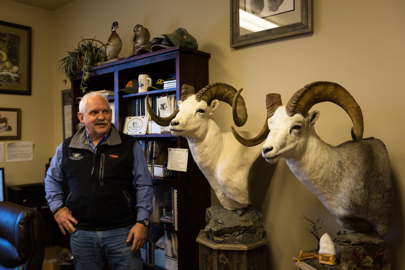 Wildlife Professionals + Citizen Scientists! By Kevin Hurley | Mountain ...