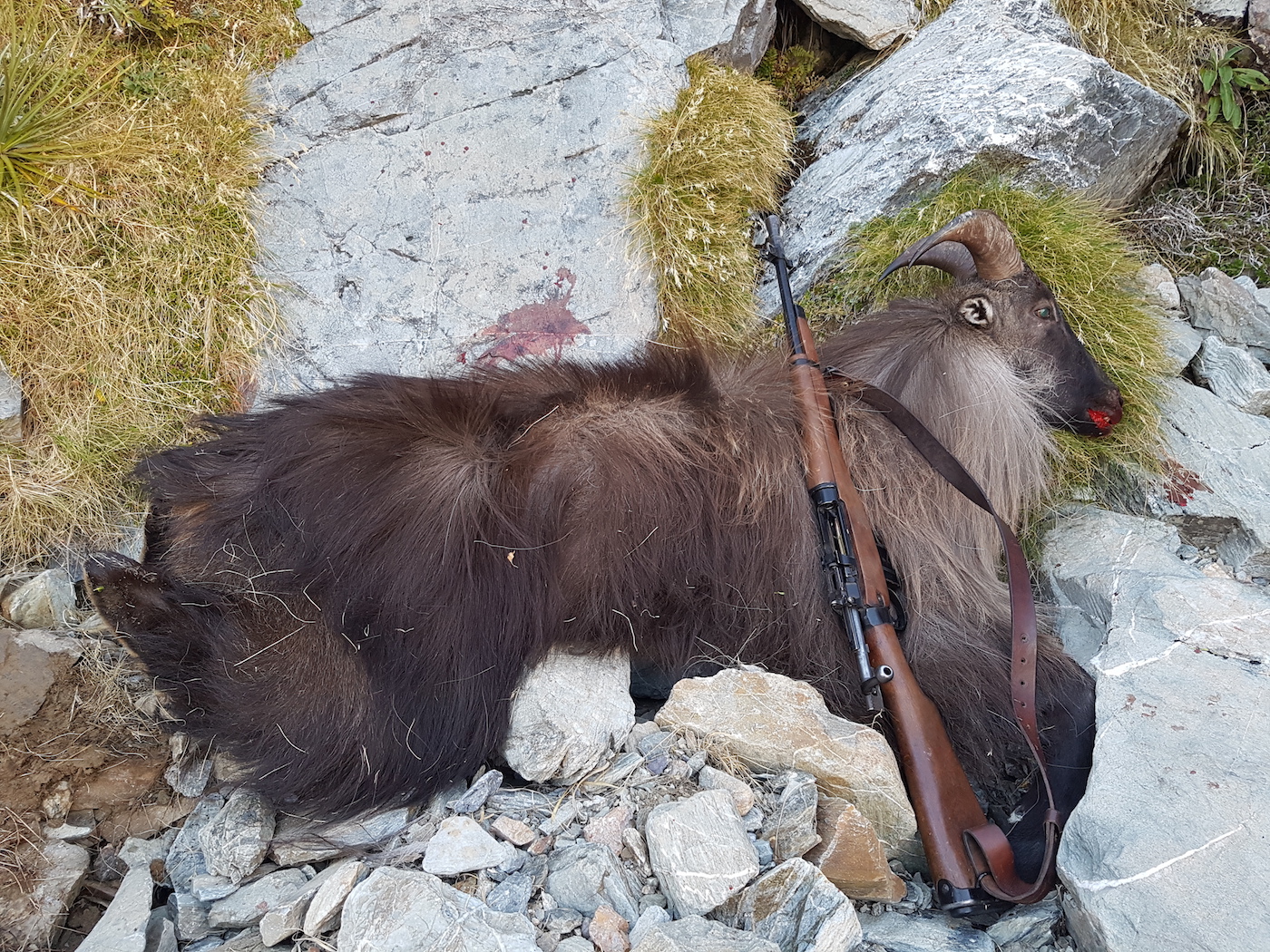 Mountain Hunt Preparation, By Joseph Peter | Pro Insight