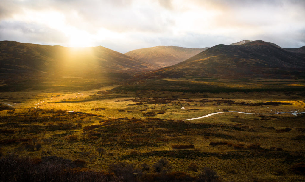 Re-Tuned, By Adam Foss - Journal of Mountain Hunting