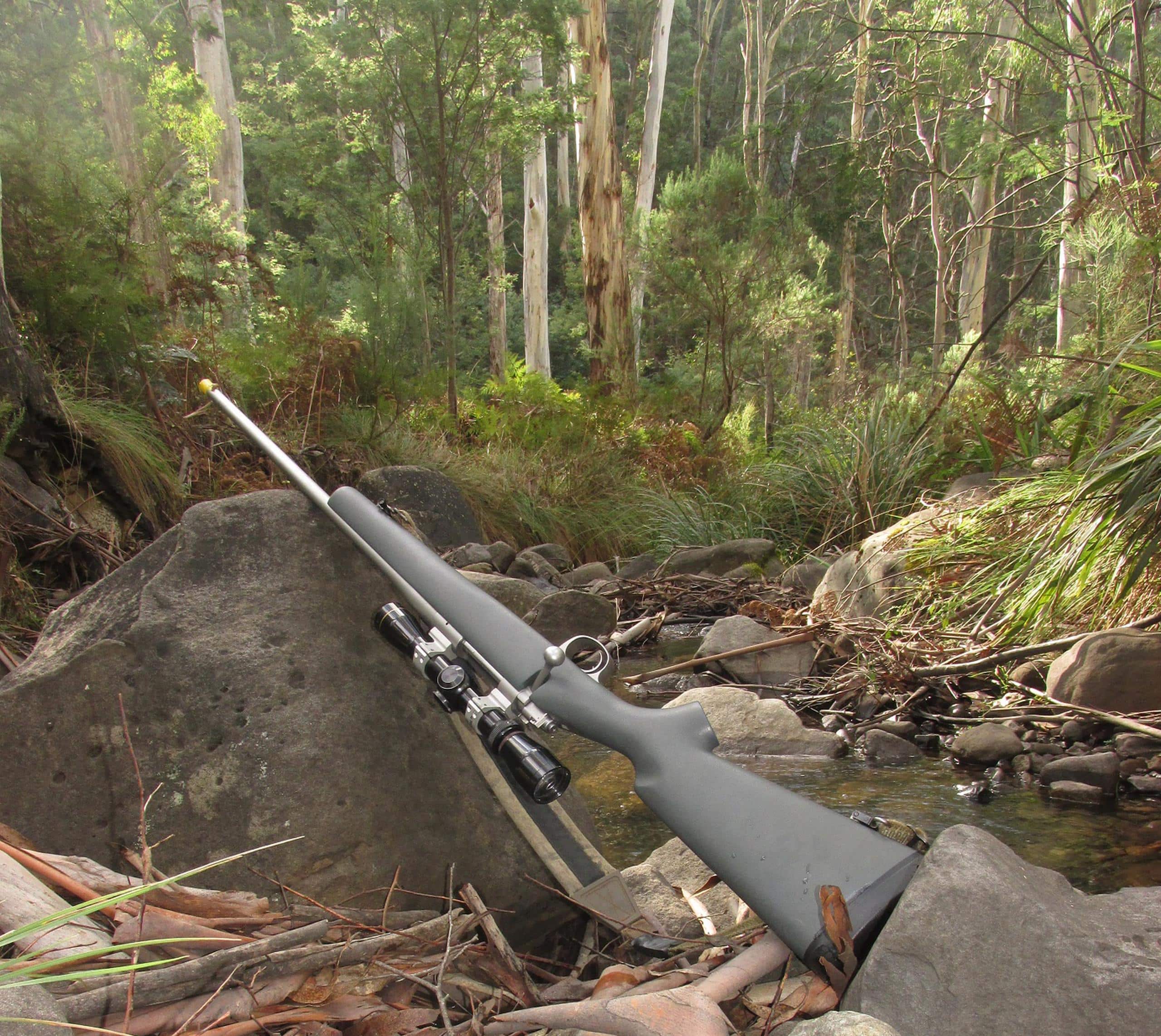 Valley of the Sambar, By Rhys Hillier - Journal of Mountain Hunting