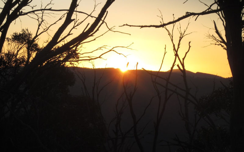 Valley of the Sambar, By Rhys Hillier - Journal of Mountain Hunting