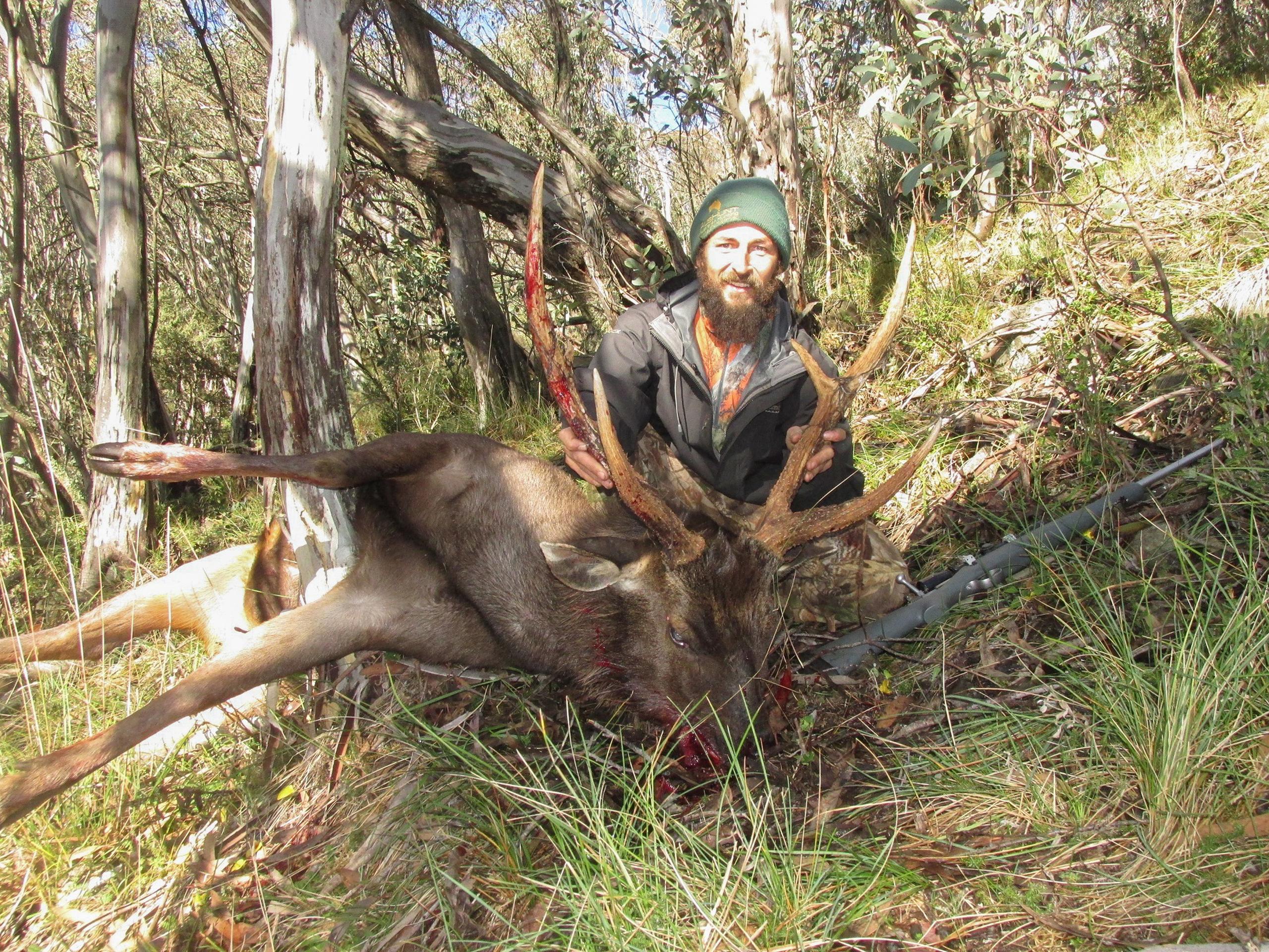 Valley of the Sambar, By Rhys Hillier - Journal of Mountain Hunting