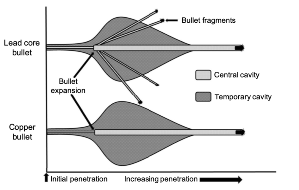 Wound Ballistics: A Bullet’s Life on the Inside, By Mike McTee ...