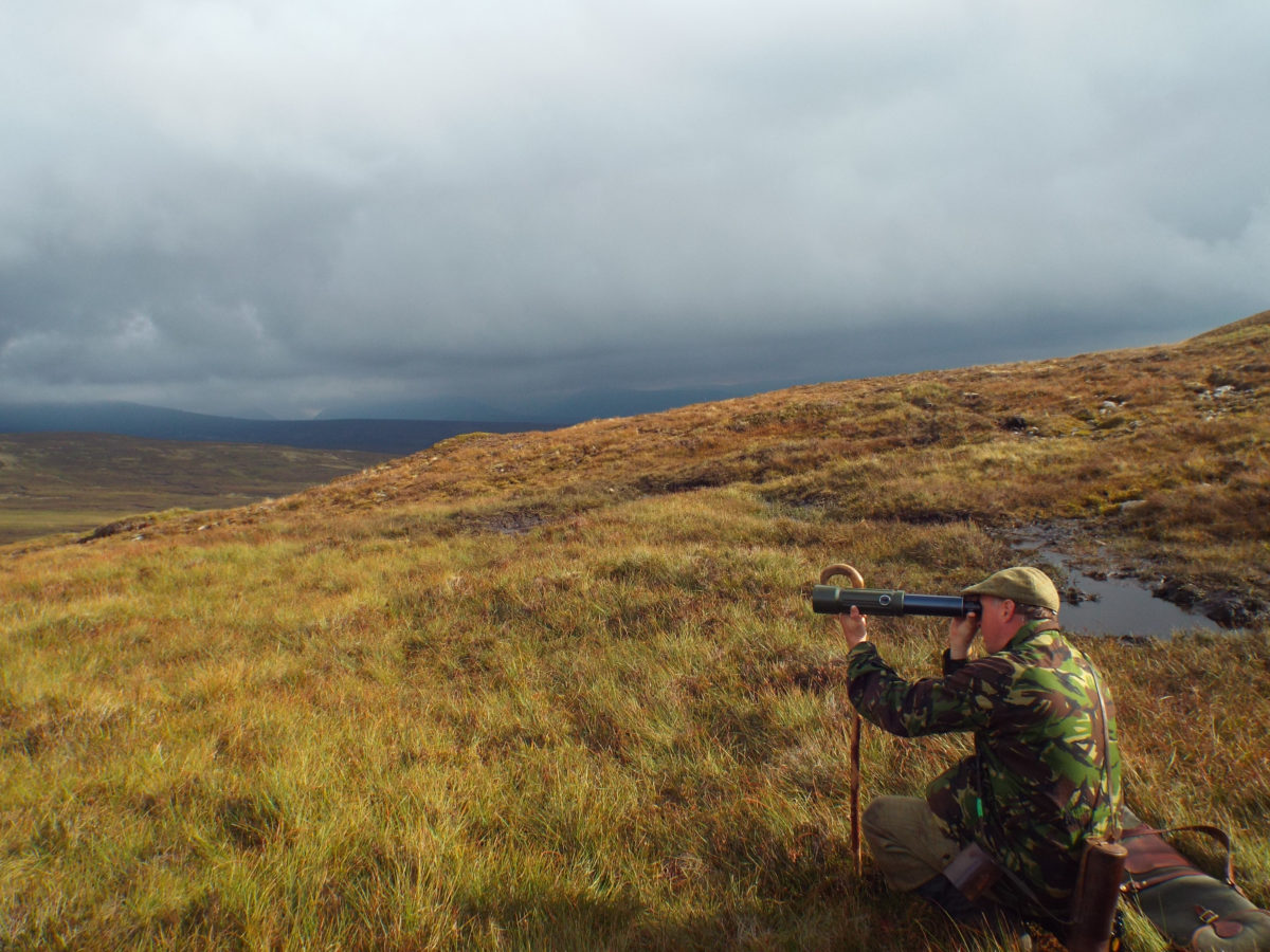 Roar of the Highland Stag, By Lukas Schulte - Journal of Mountain Hunting
