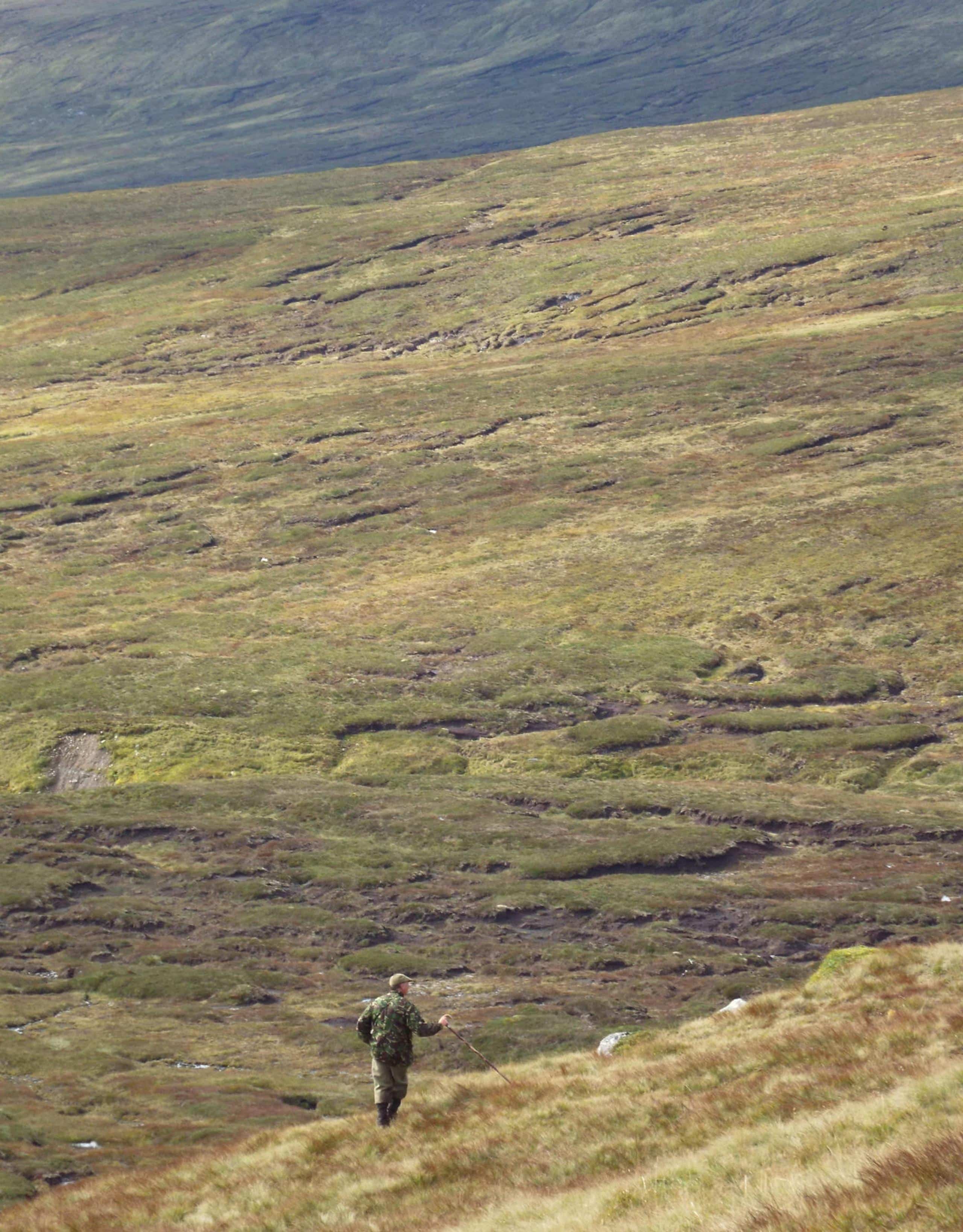 Roar of the Highland Stag, By Lukas Schulte - Journal of Mountain Hunting