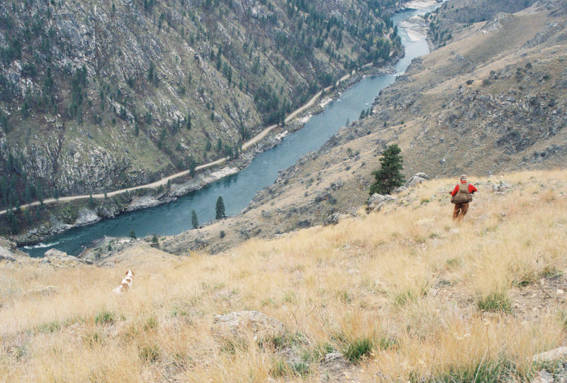 The Ultimate Mixed Bag, By Alexander Sharif - Journal of Mountain Hunting