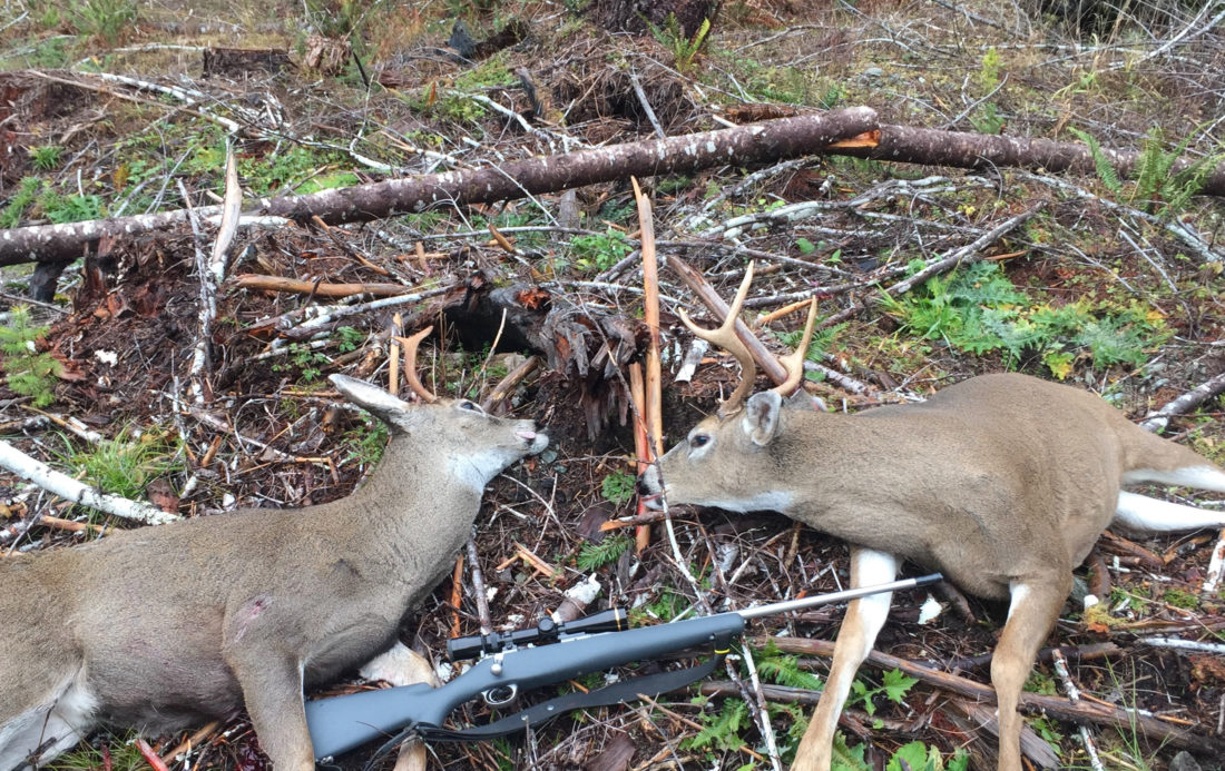Lessons of a Novice Blacktail Hunter, By Nolan Osborne - Journal of ...