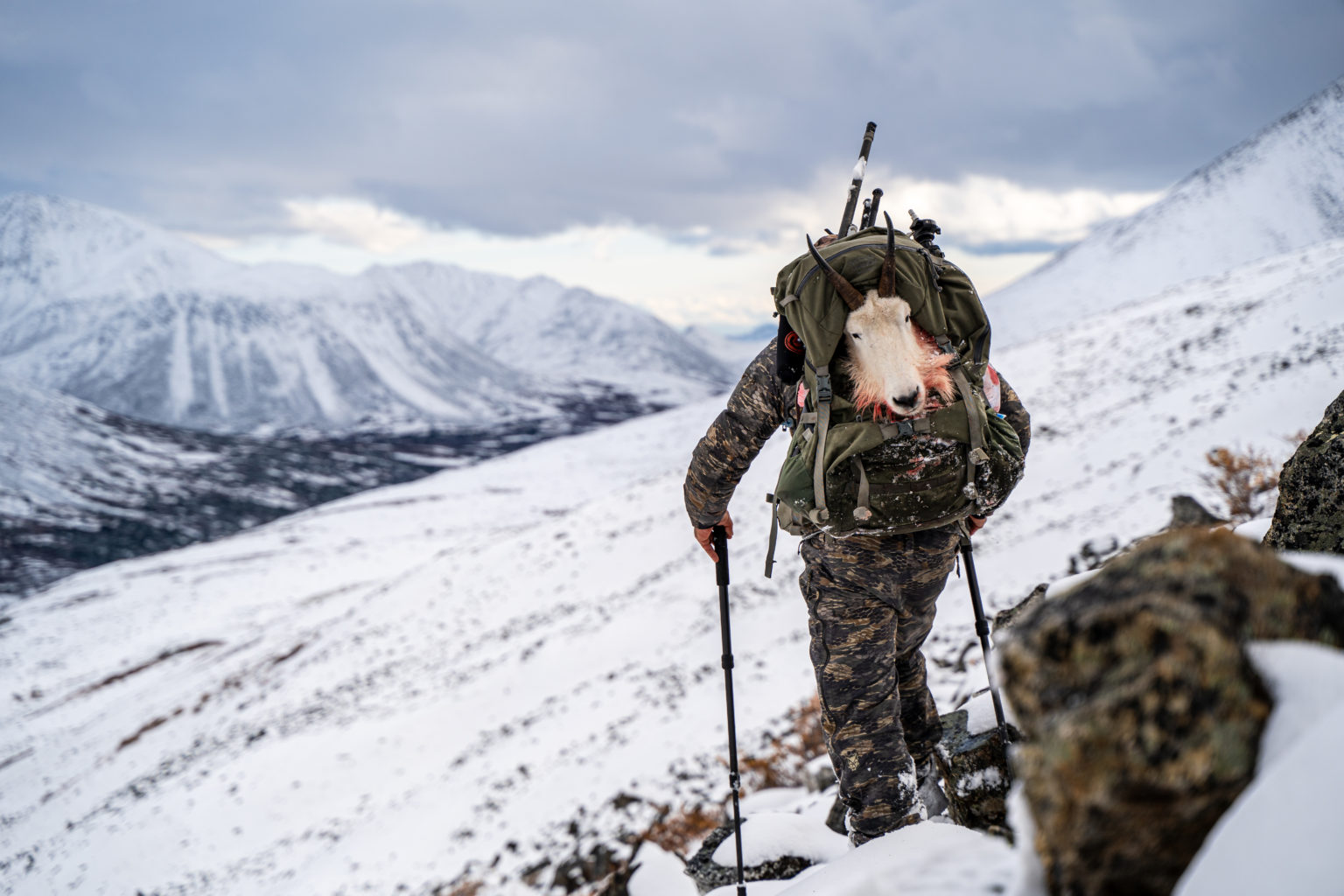 Journal of Mountain Hunting