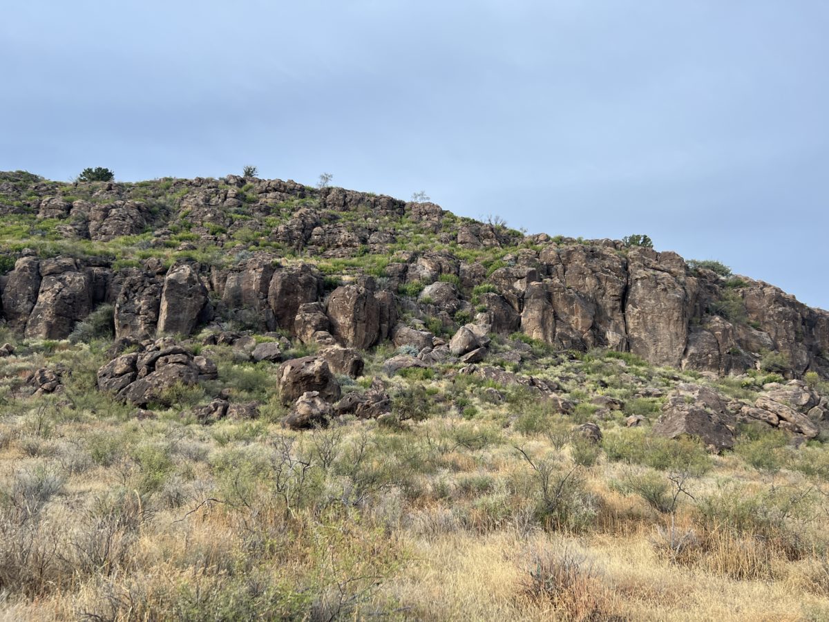 The Sacrificial Ram, By Alexander Sharif - Journal of Mountain Hunting
