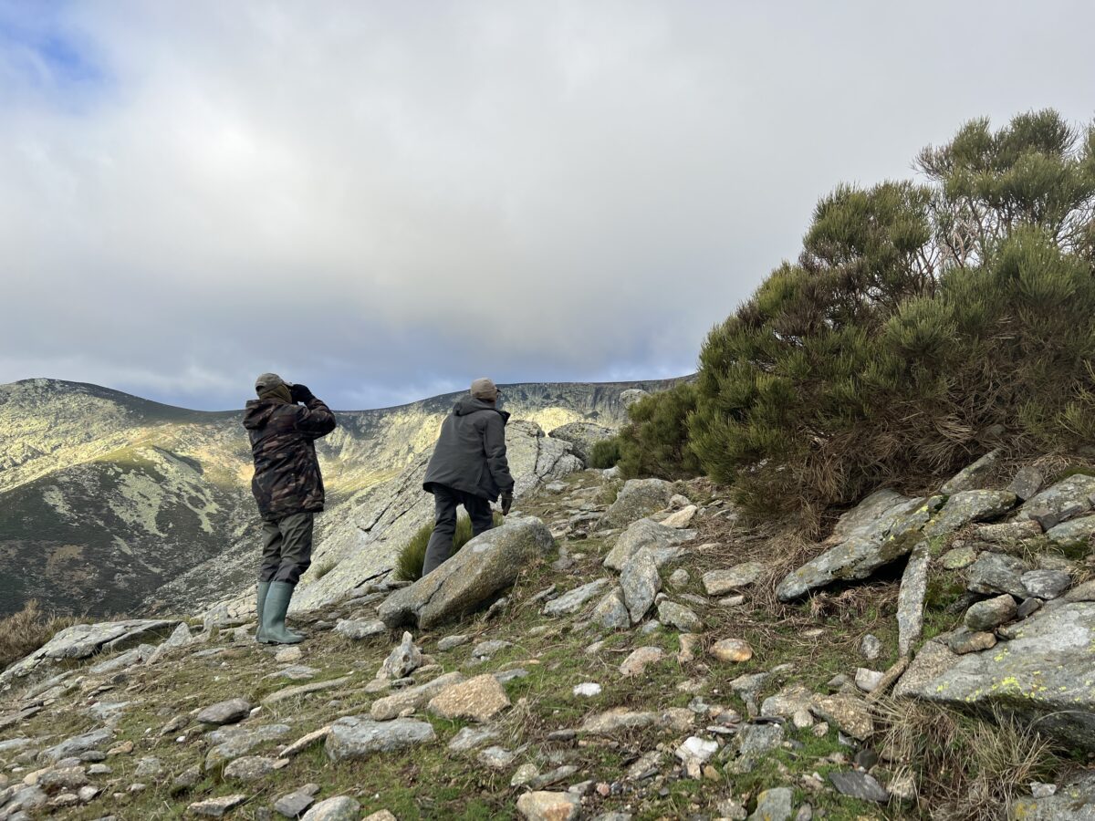 The Solstice Billy and la Machorra… By Alexander Sharif - Journal of ...