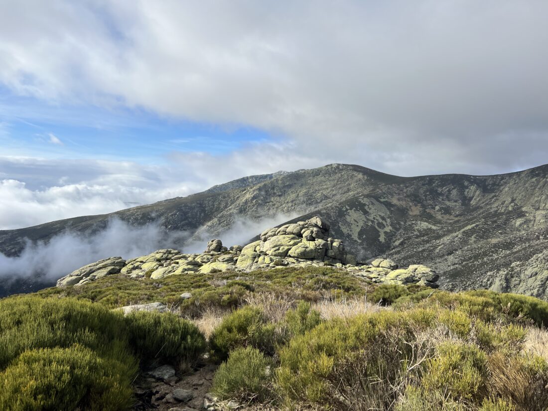 The Solstice Billy and la Machorra… By Alexander Sharif - Journal of ...