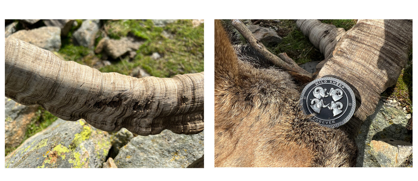 The Solstice Billy and la Machorra… By Alexander Sharif - Journal of ...